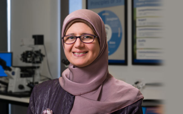 Dr Suzan Elharmeel - Brisbane South Private Hospital